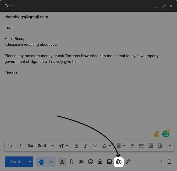 Send Disappearing Emails – Shem Opolot